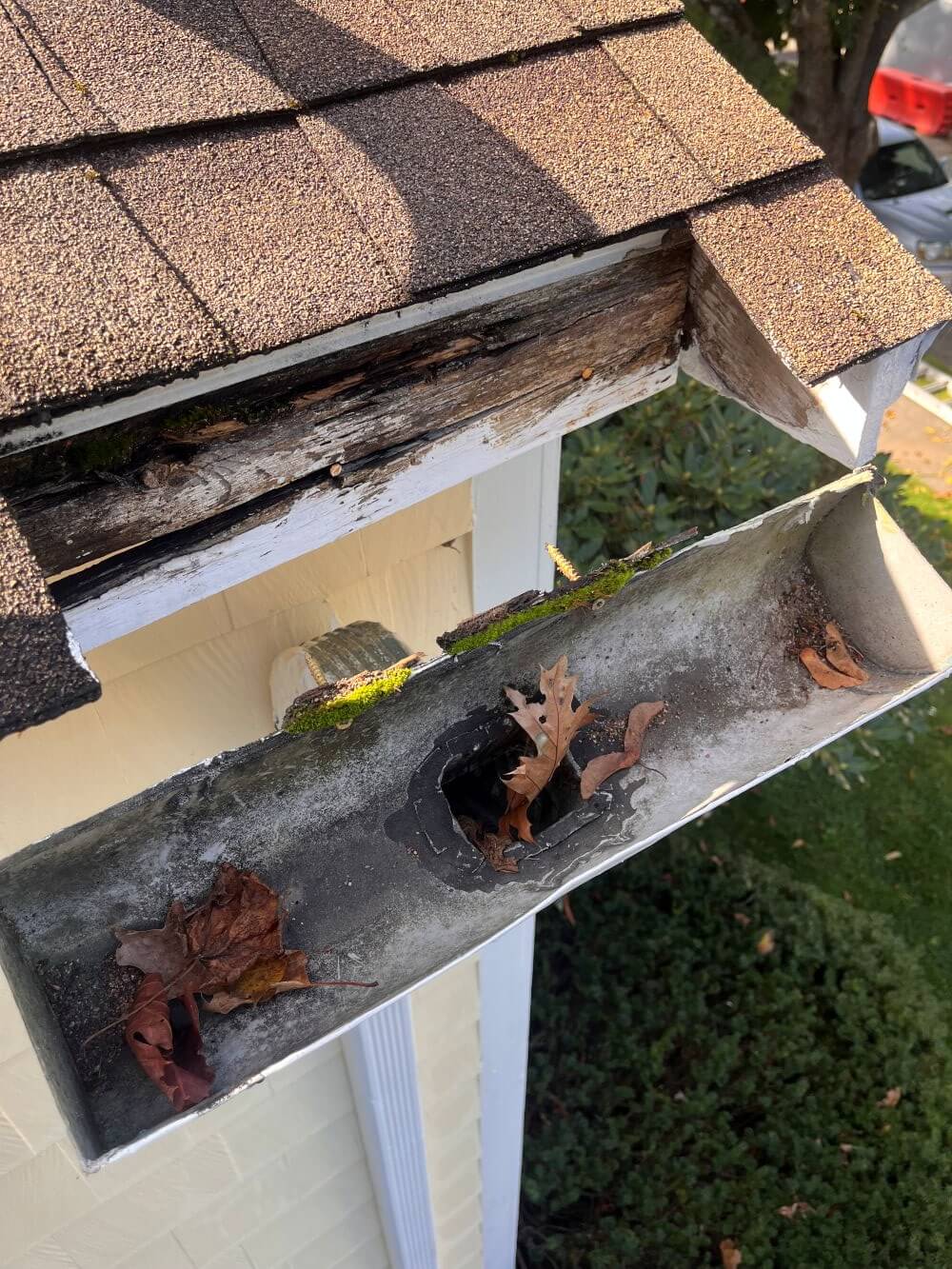 5 Signs Your Gutters Need Immediate Maintenance - Boston Gutter Solutions